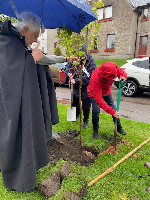 Coronation Tree Planting | Scottish Episcopal Church - Dornoch, Lairg ...